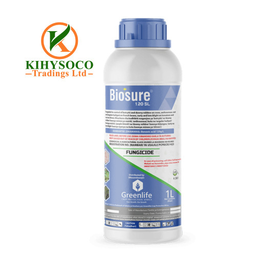 Kihysoco Trading’s Ltd - Best, Reliable, and Affordable Shop for ...